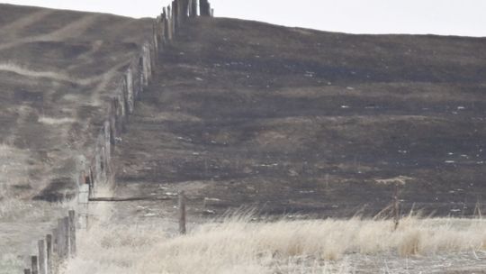 Sherman County Times